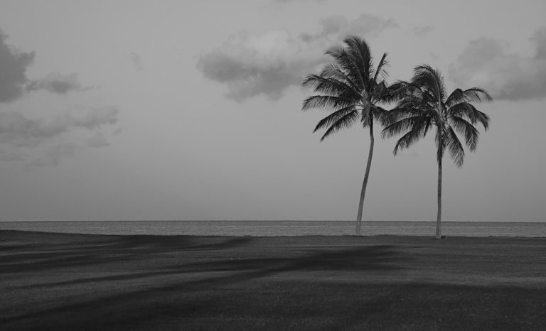 What Is Monochrome Printing? » City Of Packaging